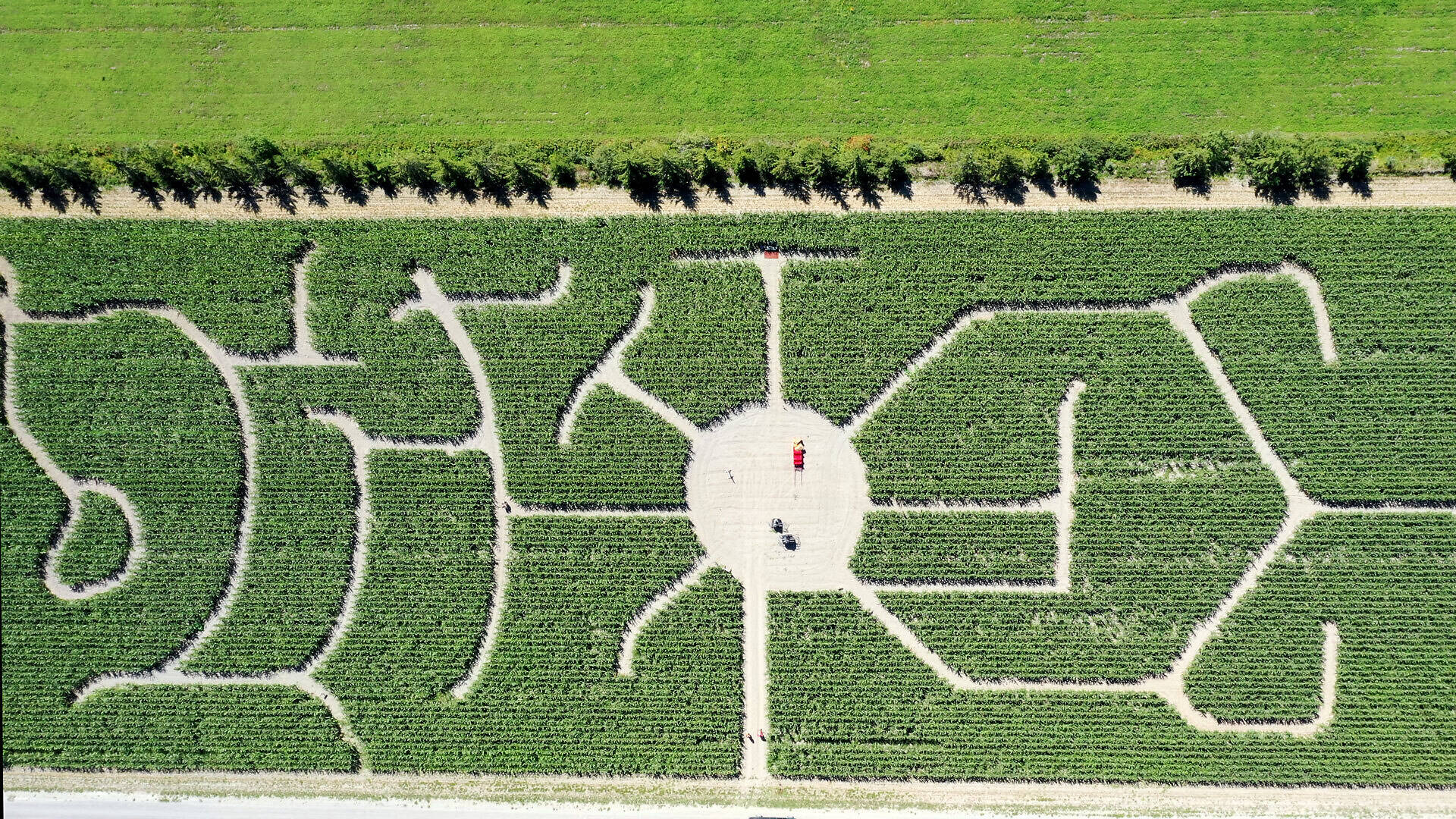 11 Best Corn Mazes Near Montreal to Explore