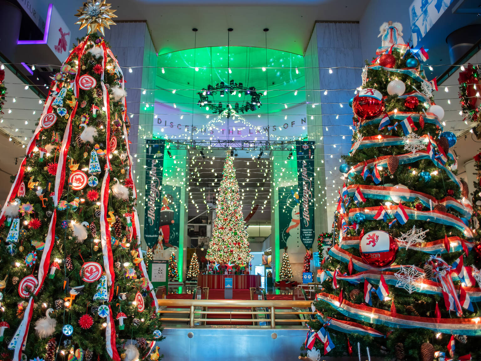 15 Best Spots to See Christmas Holiday Lights Around Chicago