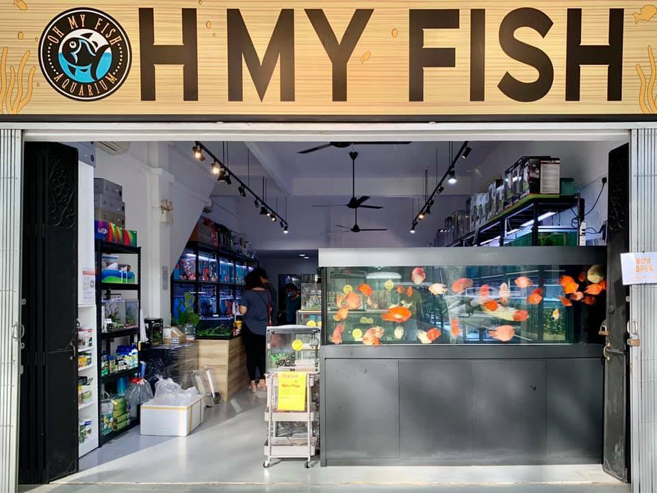 Oh My Fish | Shopping in Kallang, Singapore