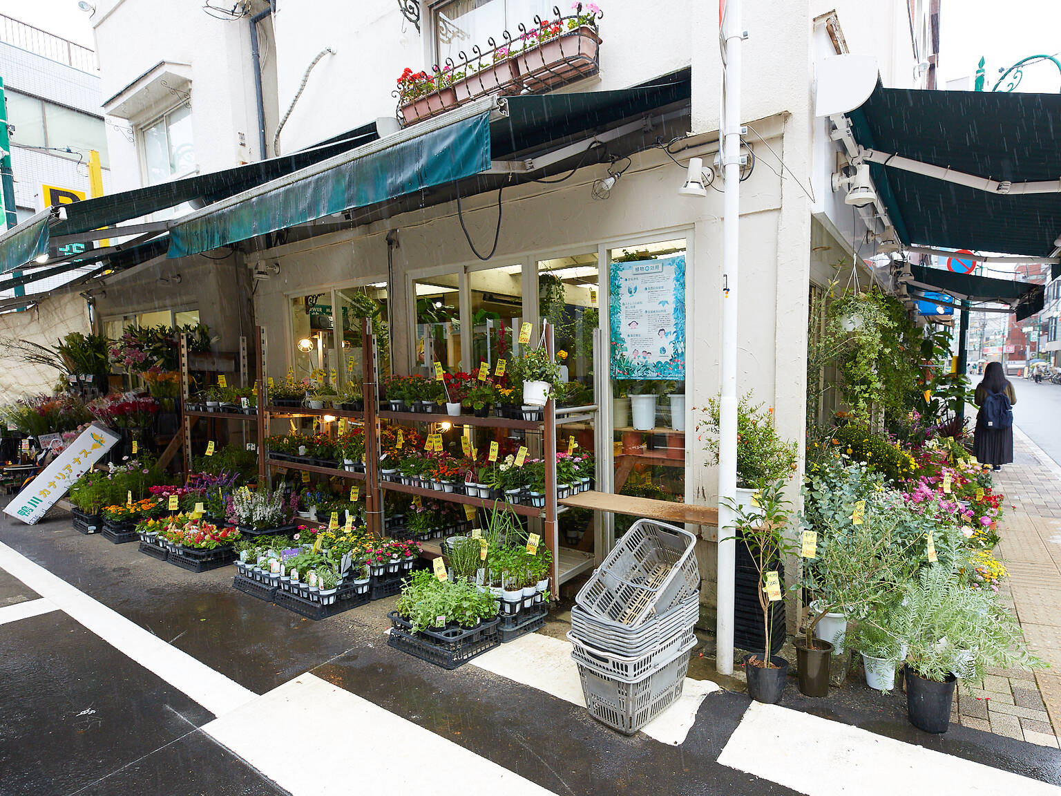 5 best plant shops and nurseries in Tokyo