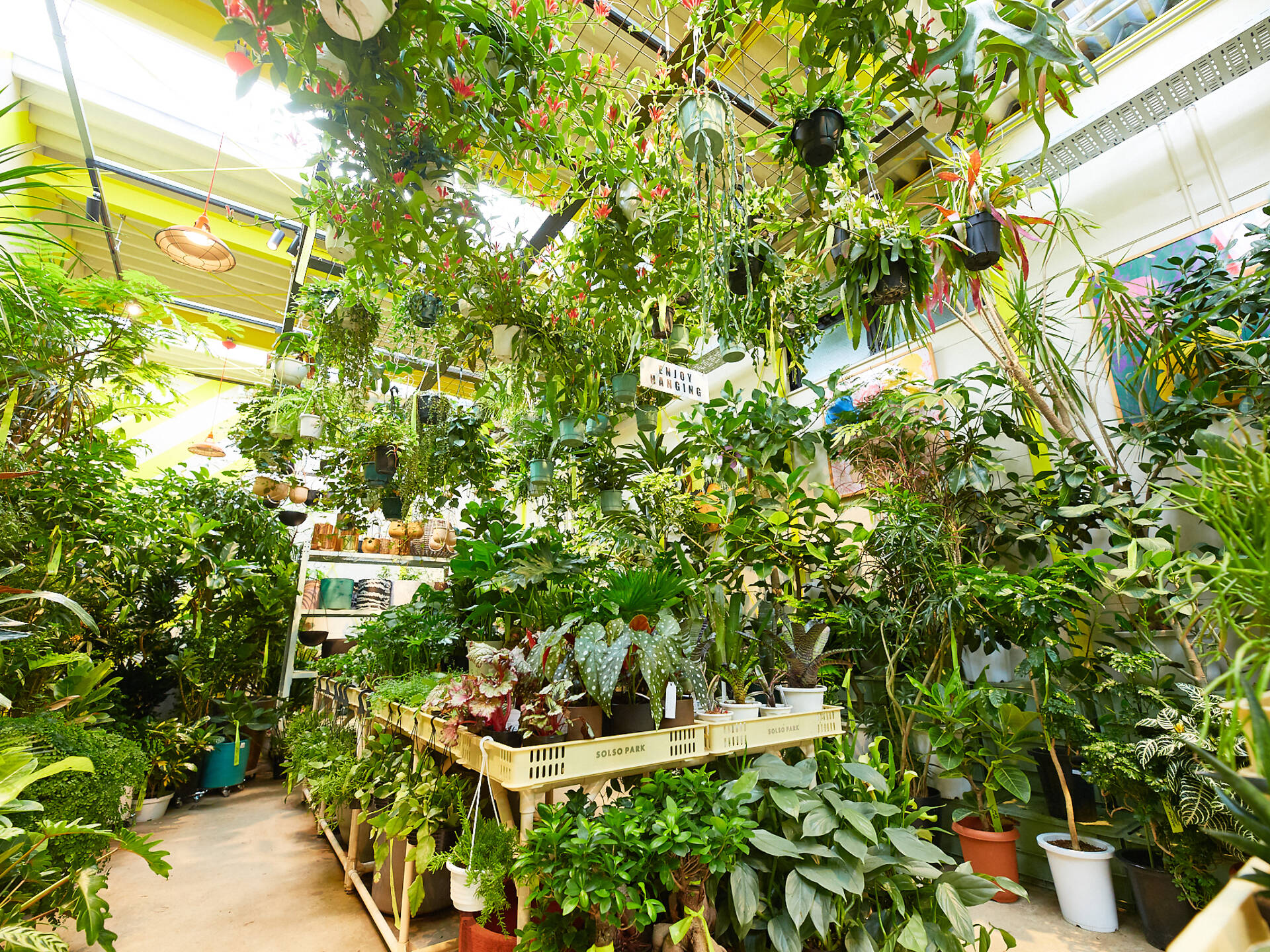 5 best plant shops and nurseries in Tokyo