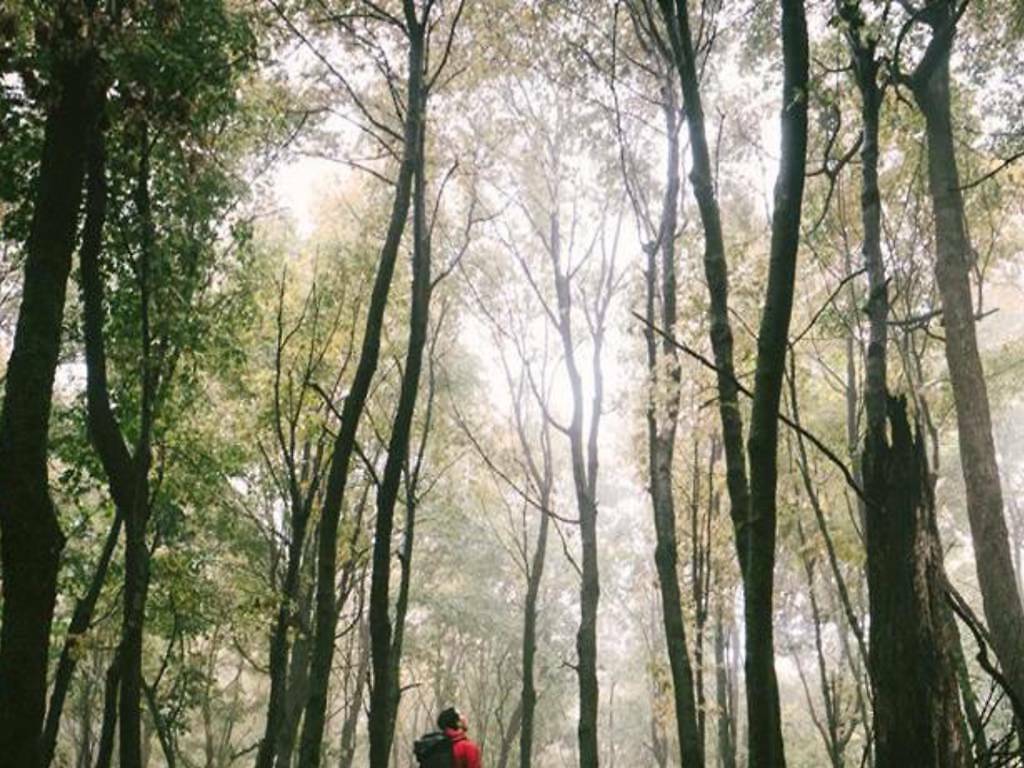 Hiking Near Montreal: 26 Trails to Take and Sights to See