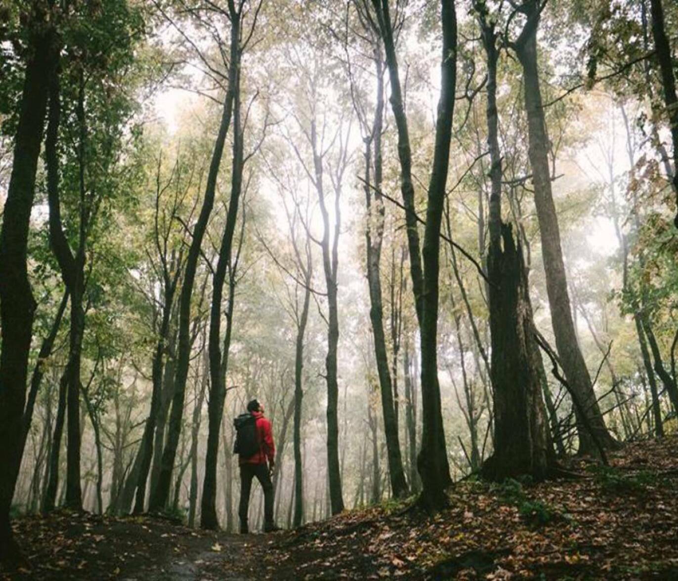 Hiking Near Montreal: 26 Trails to Take and Sights to See