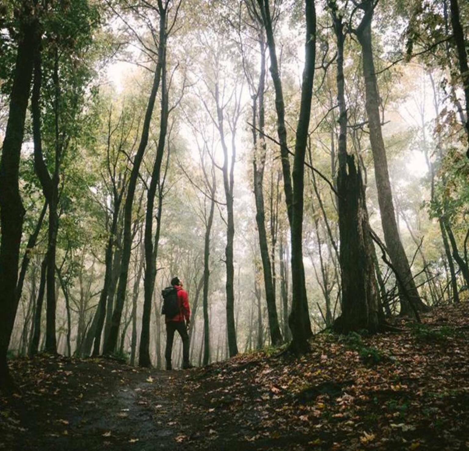 Hiking Near Montreal: 26 Trails to Take and Sights to See