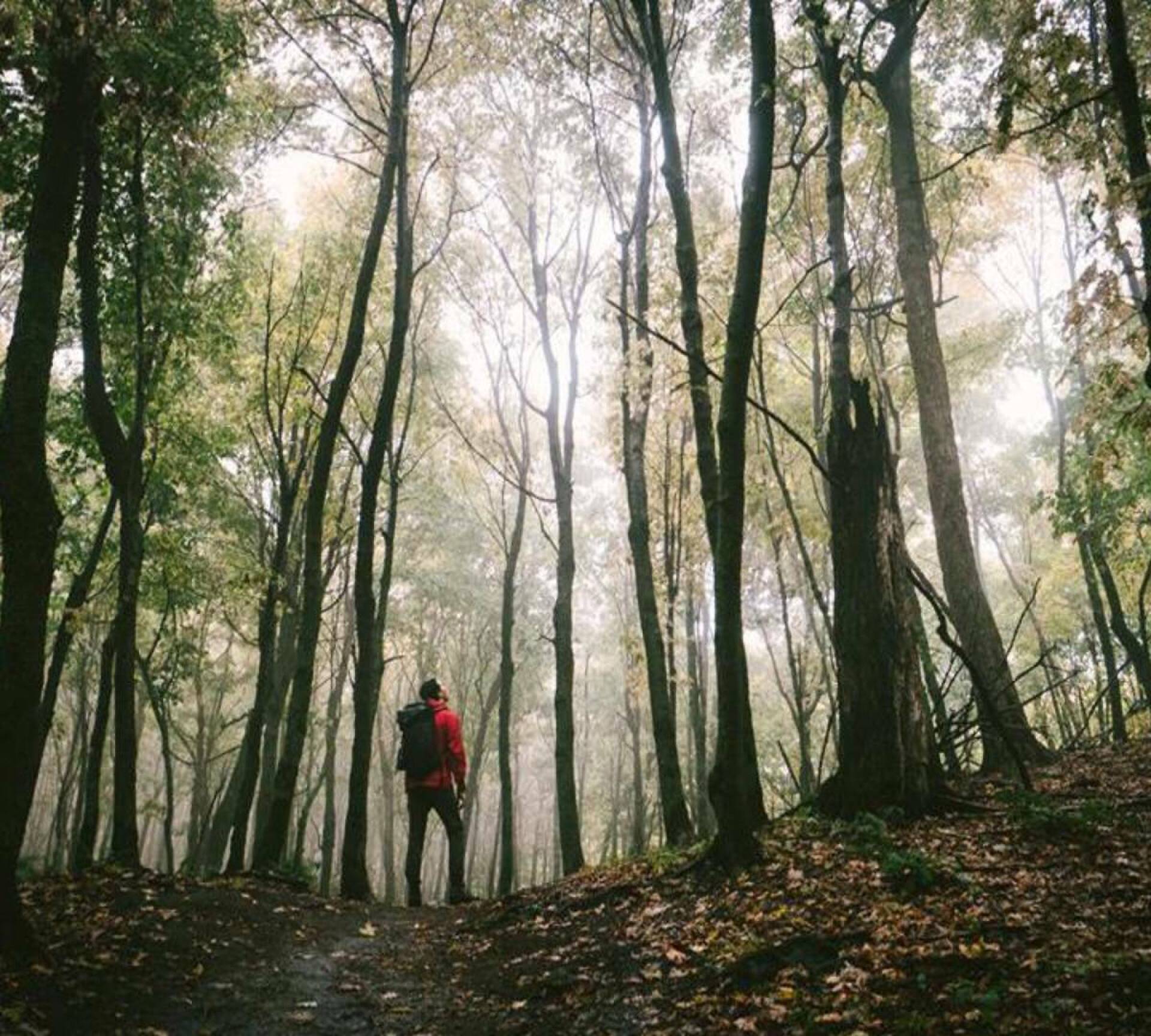 Hiking Near Montreal: 26 Trails to Take and Sights to See