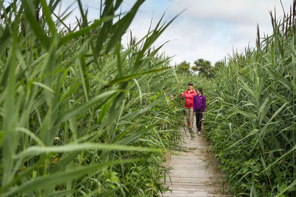 Hiking Near Montreal: 26 Trails to Take and Sights to See