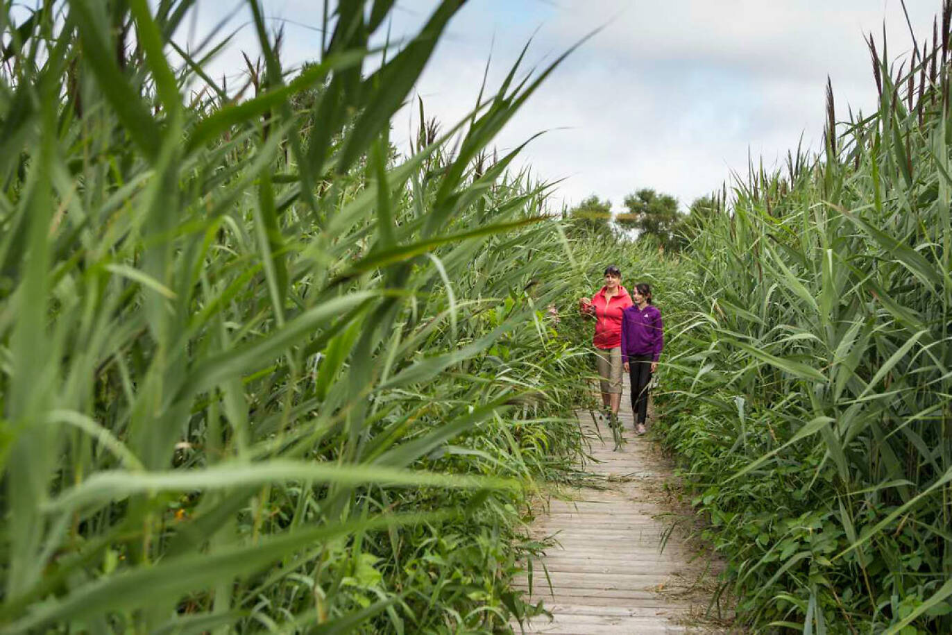 Hiking Near Montreal: 26 Trails to Take and Sights to See