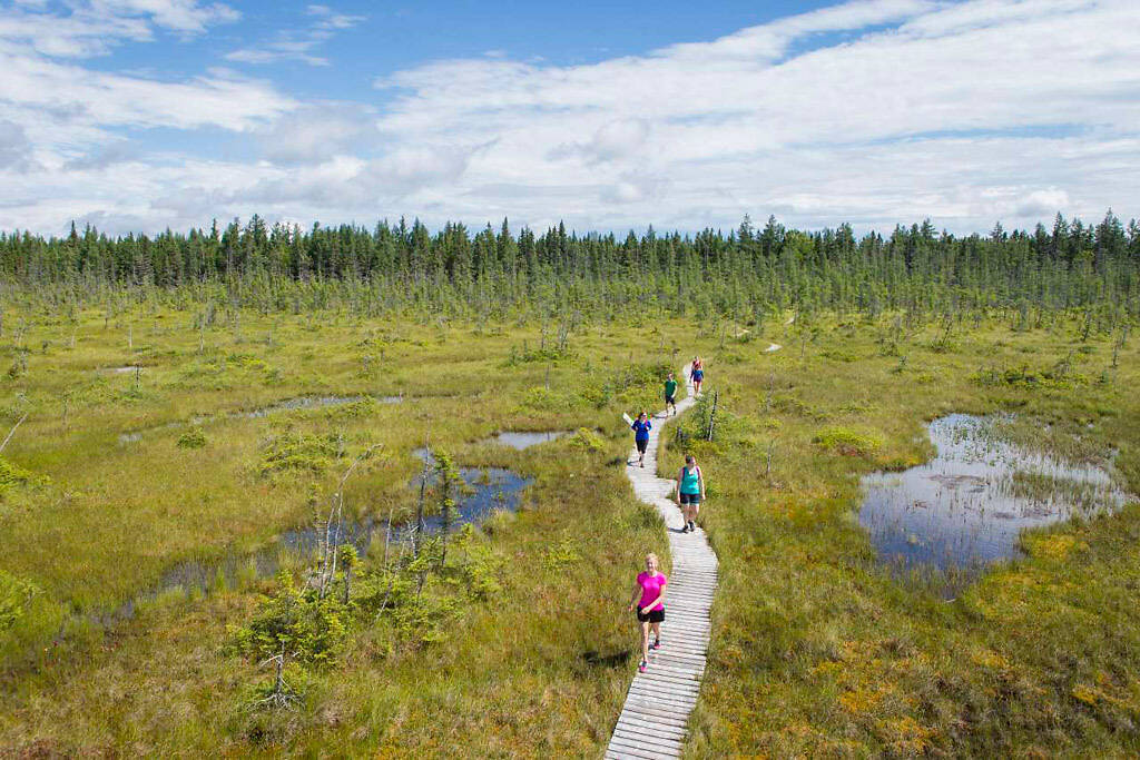Hiking Near Montreal: 26 Trails to Take and Sights to See