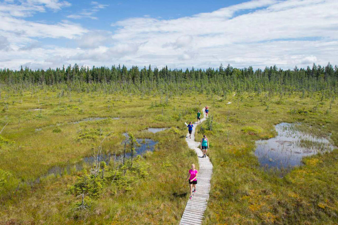 Hiking Near Montreal: 26 Trails to Take and Sights to See