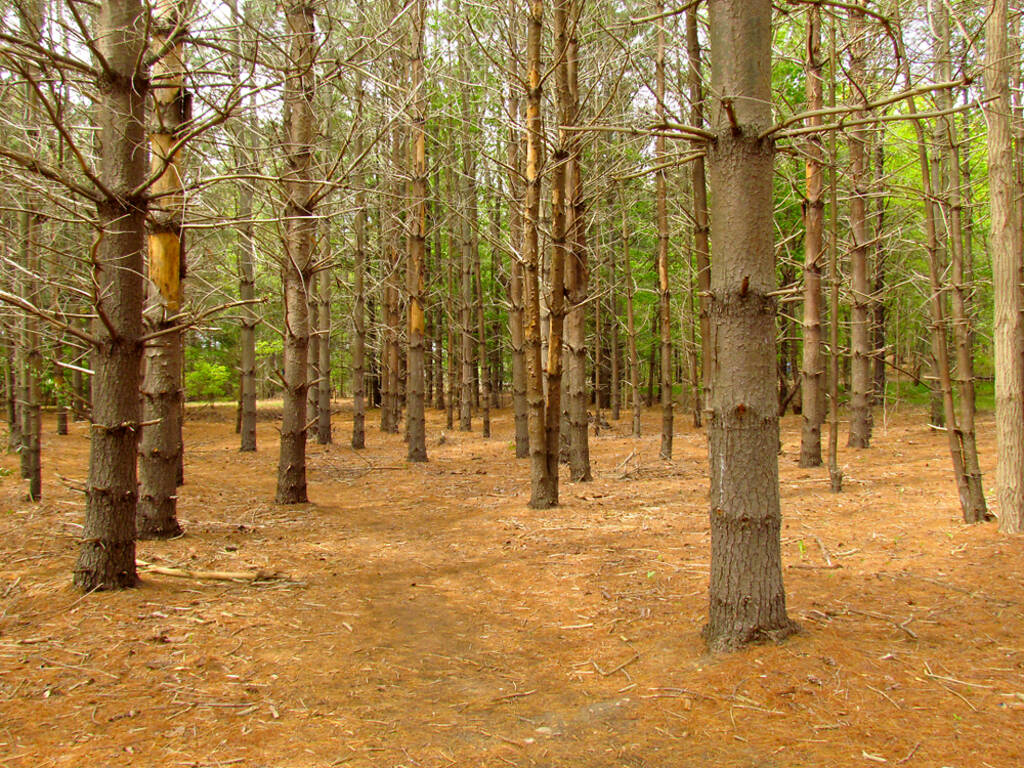 19 Most Haunted Places in America For Daring Ghost Hunters