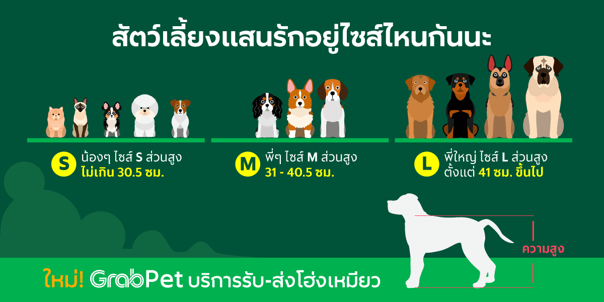 Grab เปิดตัวบริการใหม่ ‘GrabPet’ ให้คุณพาสัตว์เลี้ยงเดินทางไปด้วยได้ทุกที่
