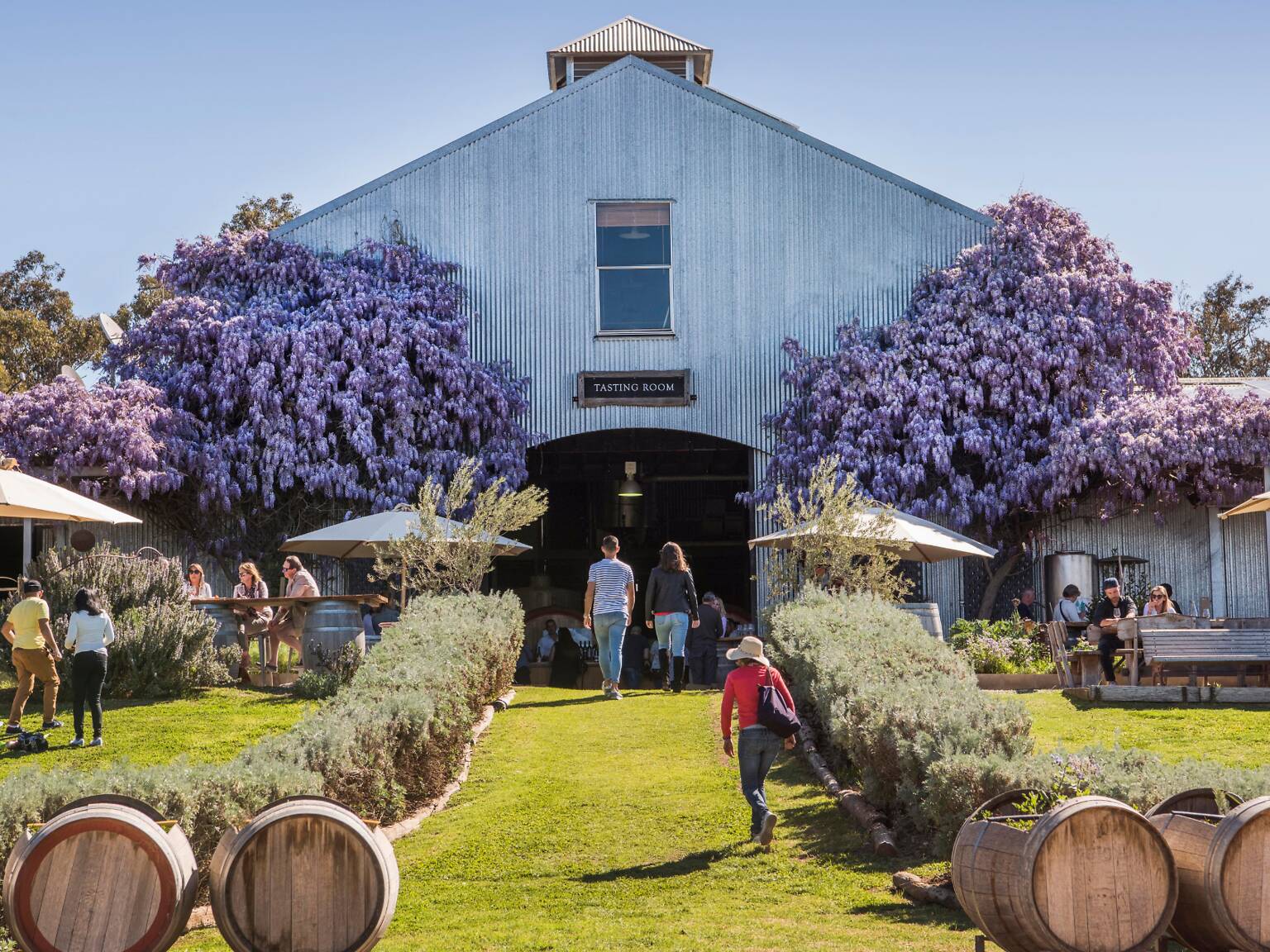 Mudgee: Best Things To Do and Eat, Accommodation & Transport