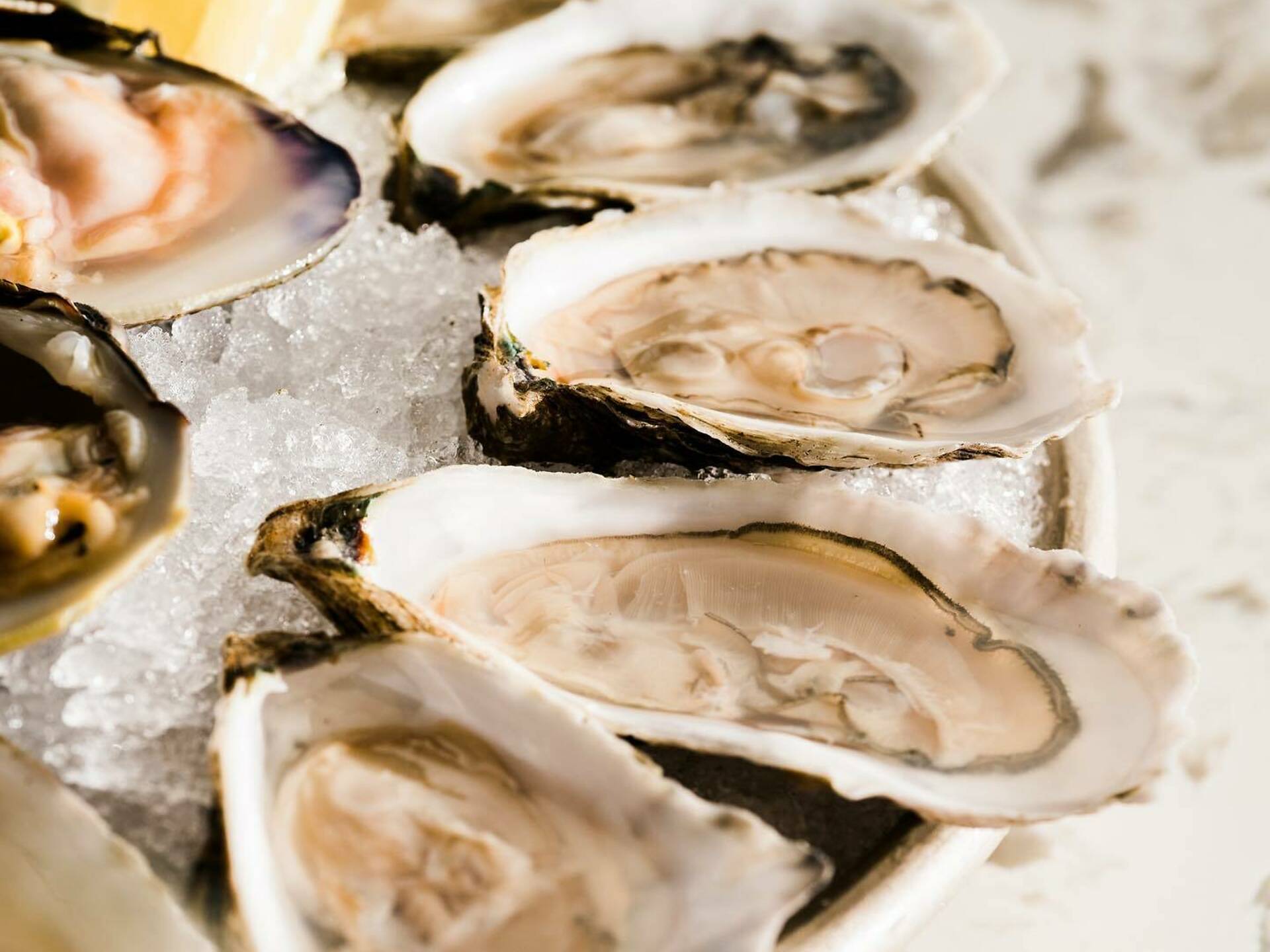 15 Best Dollar Oysters in Boston: Happy Hour Deals