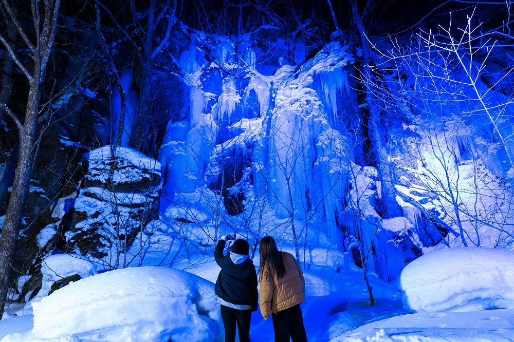 Frozen Waterfalls With Flowers 5 Winter Waterfalls In Ithaca, NY