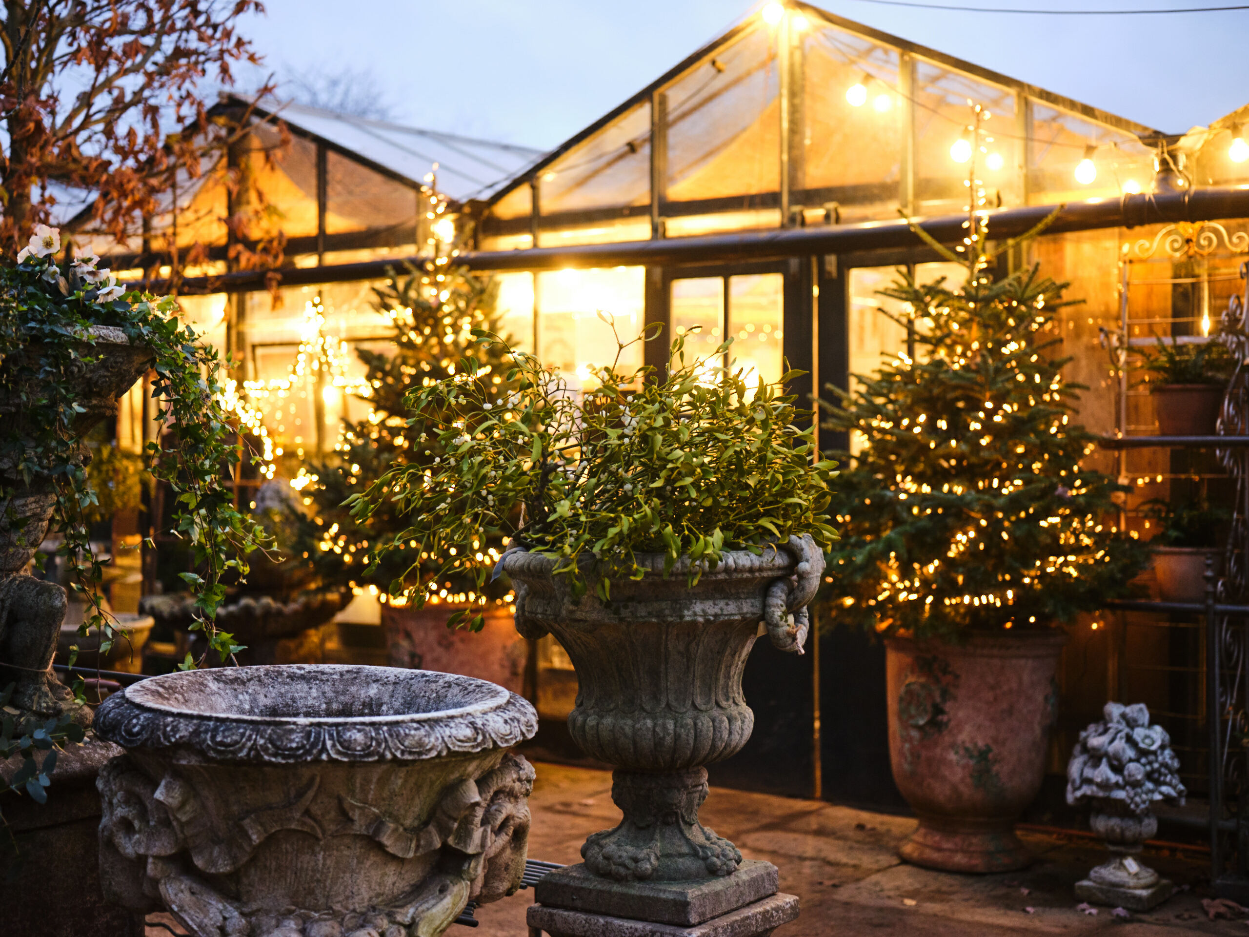 Carols and Shopping at Petersham Nurseries | Things to do in London