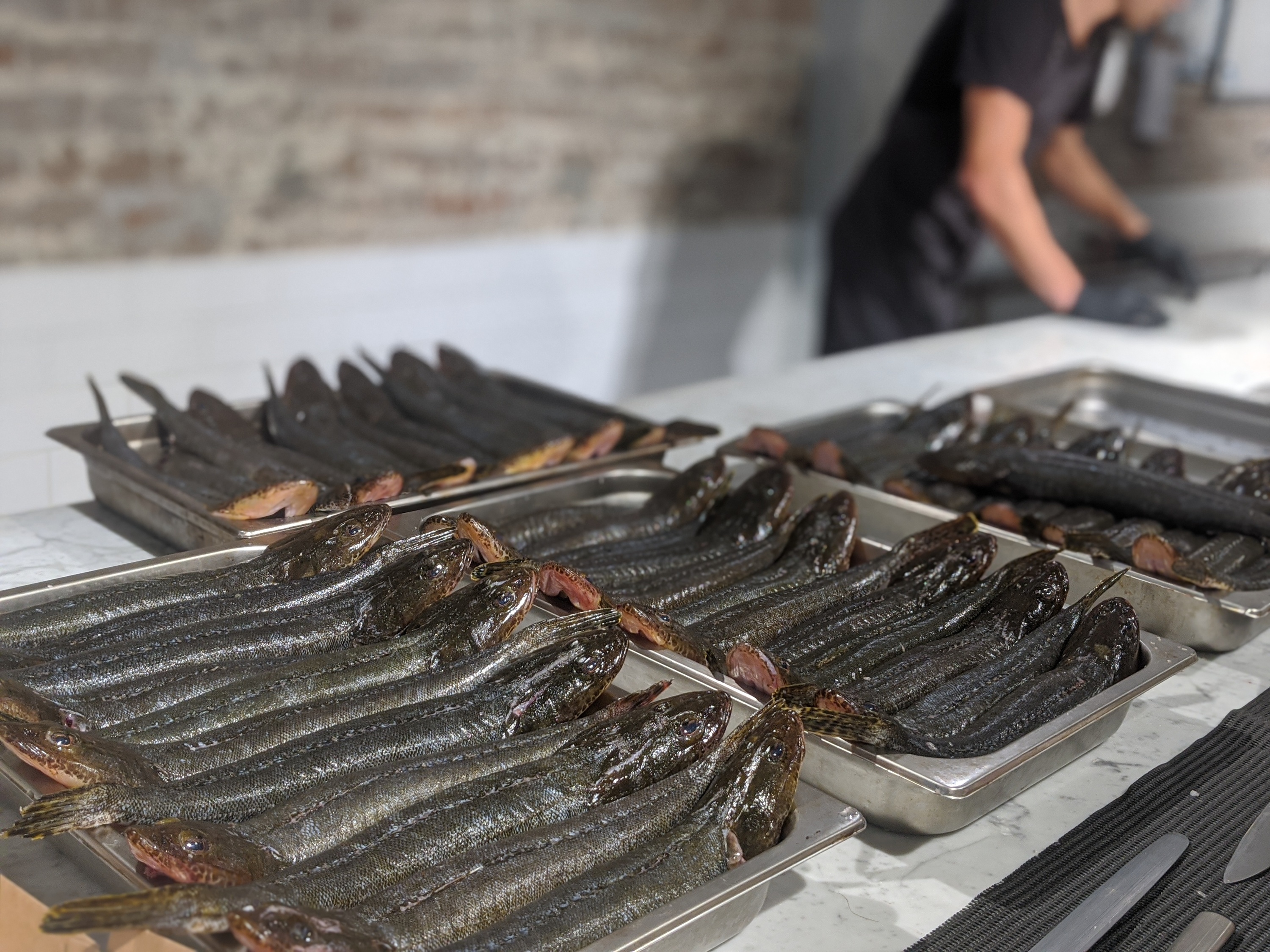 Fish Butchery | Restaurants in Paddington, Sydney