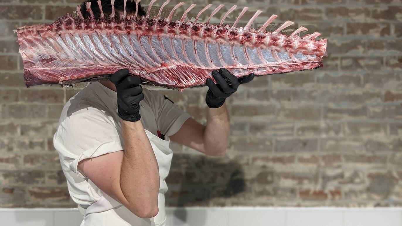 Fish Butchery | Restaurants in Paddington, Sydney