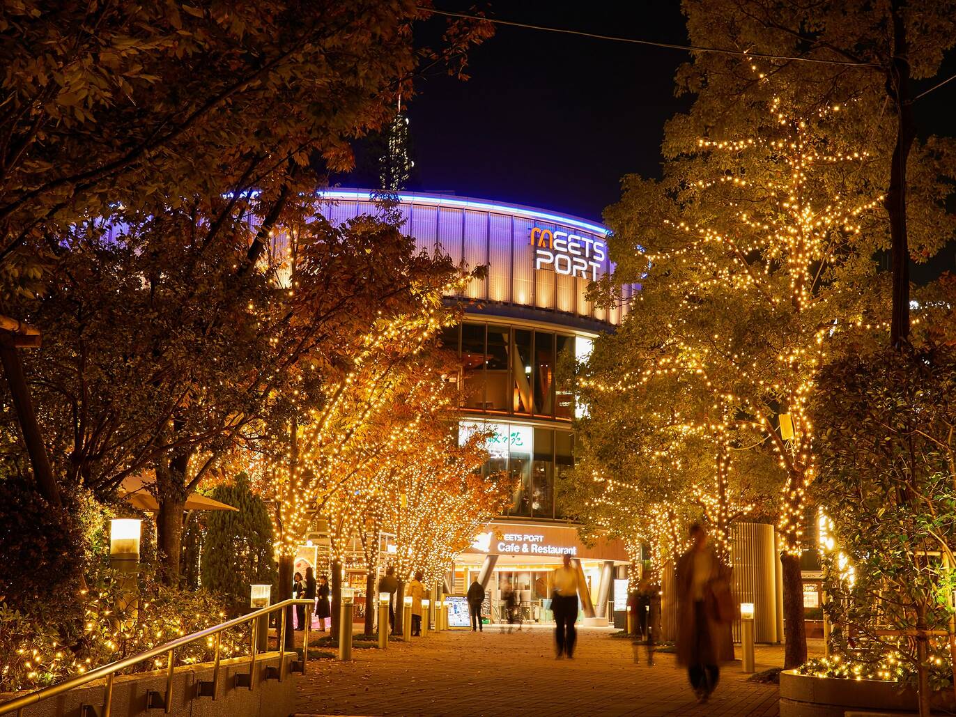 10 incredible winter illuminations and light-ups in Tokyo