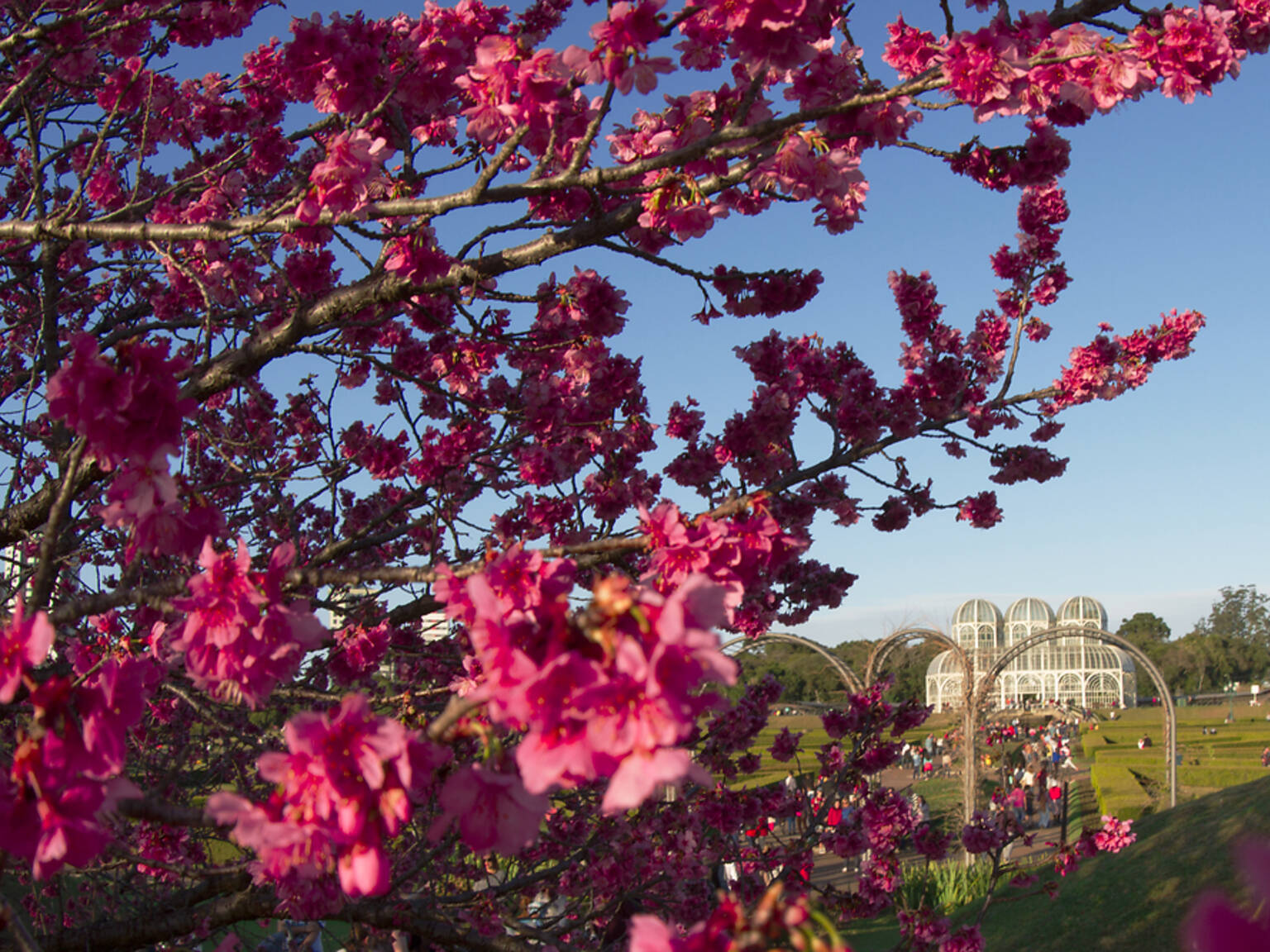 21 Amazing Things Cities are Doing to Fight the Climate Crisis