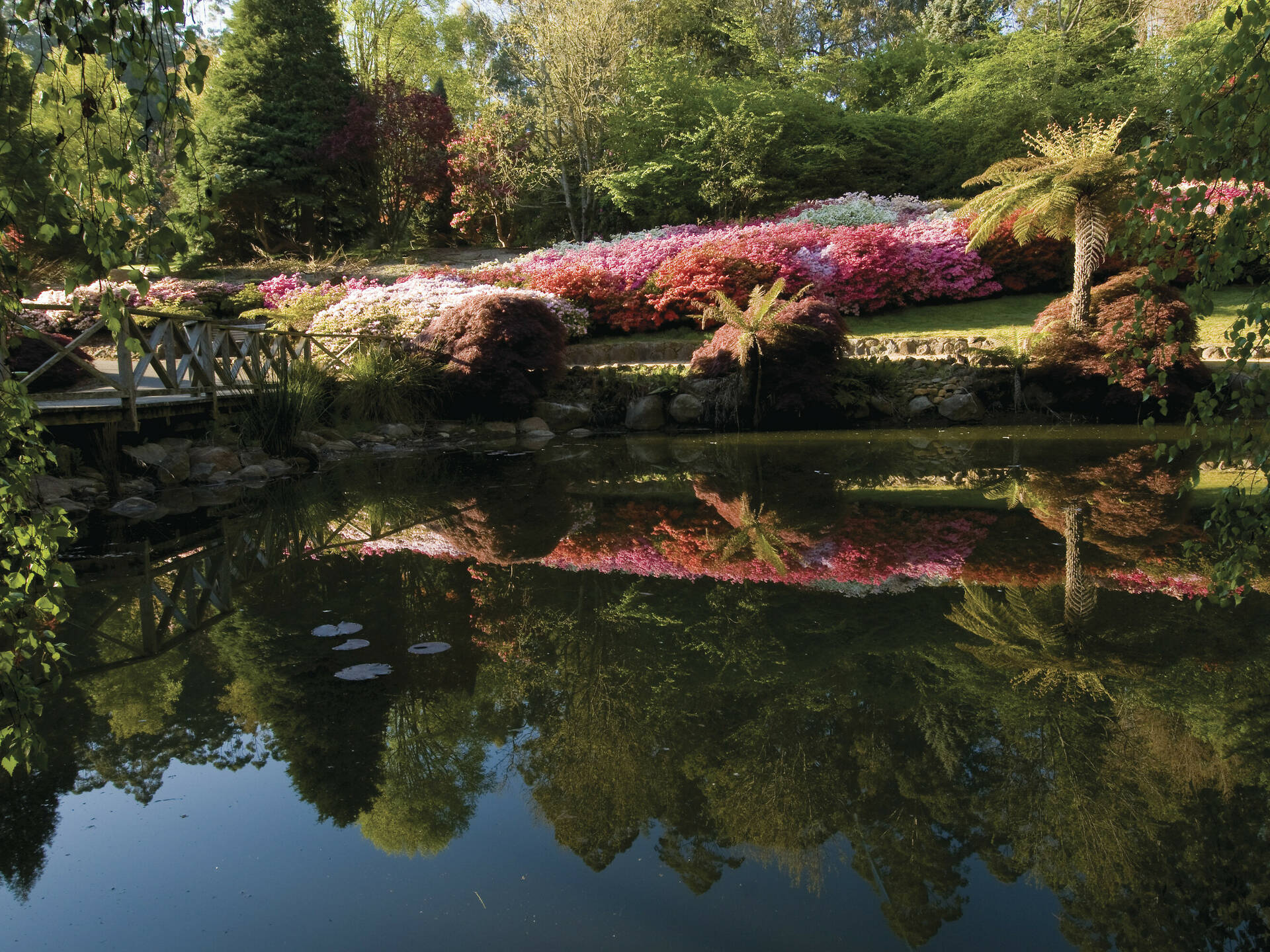 The best places to see spring wildflowers near Melbourne
