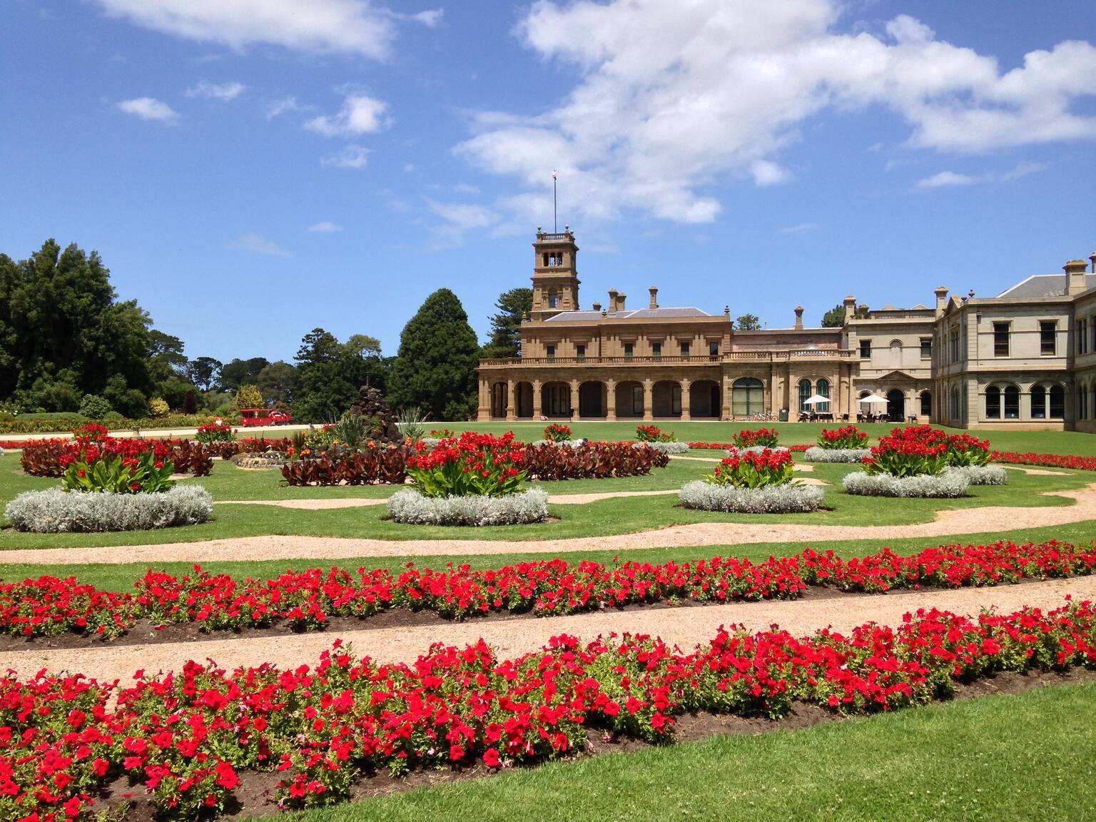 The best places to see spring wildflowers near Melbourne