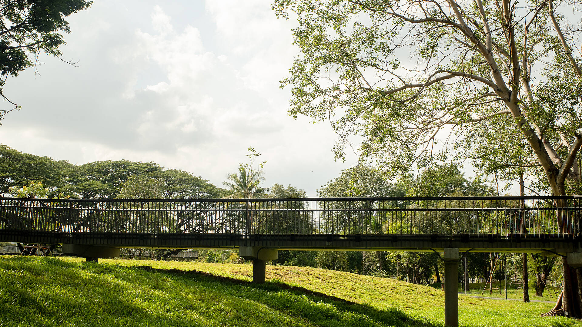 Benjakitti Park (Benchakitti Forest Park) | Attractions in Khlong Toei ...
