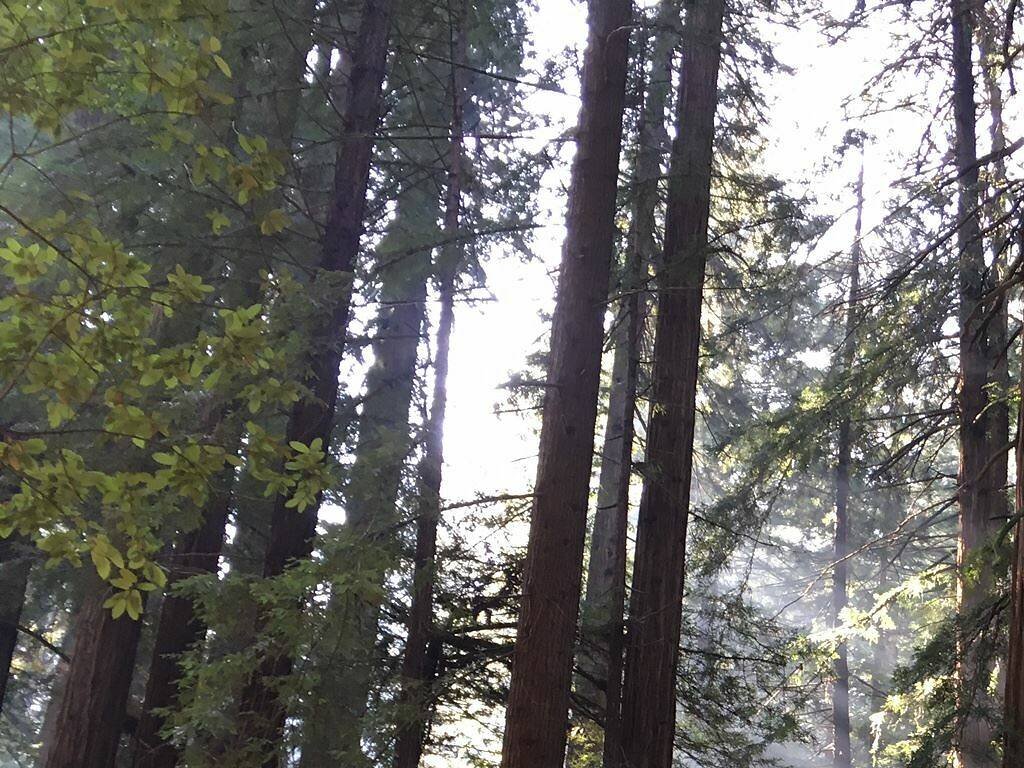 20 Best Things to Do in the Bay Area