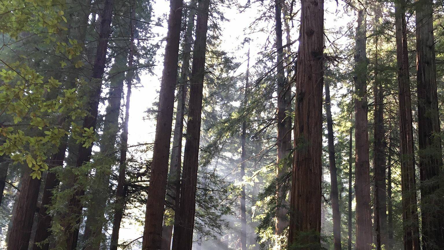 20 Best Things to Do in the Bay Area