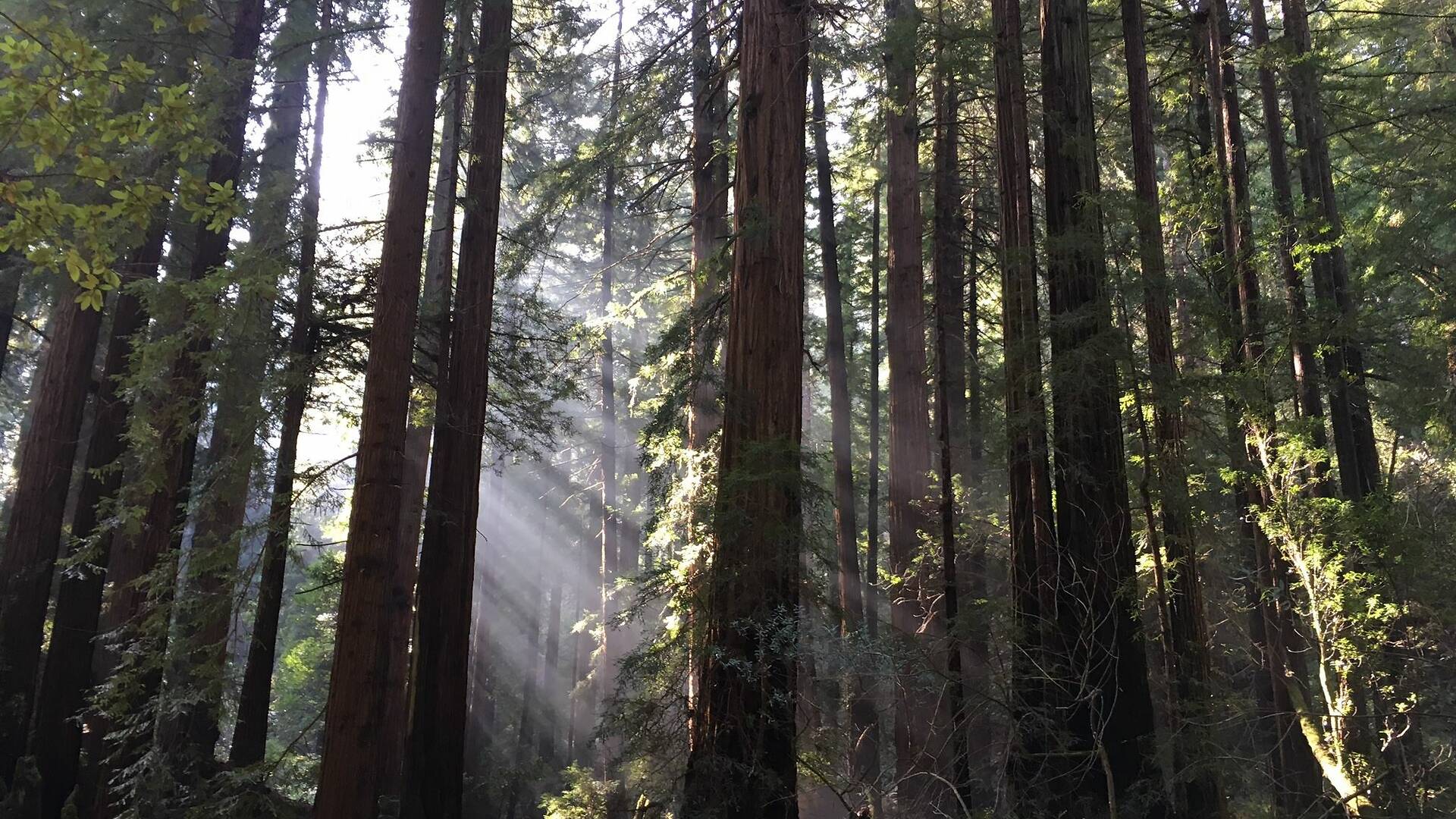 20 Best Things to Do in the Bay Area