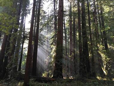 20 Best Things to Do in the Bay Area