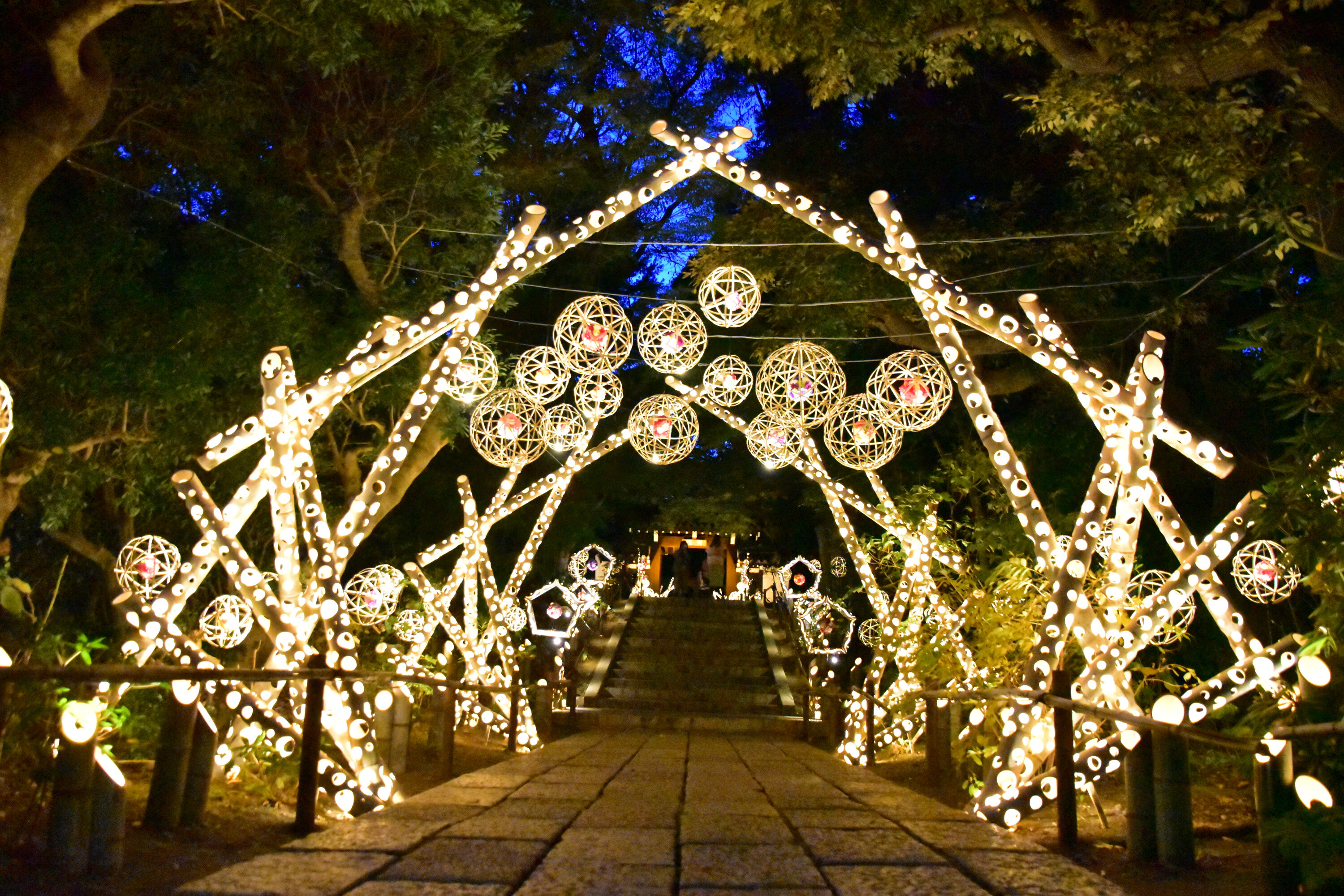 12 incredible winter illuminations and light-ups in Tokyo