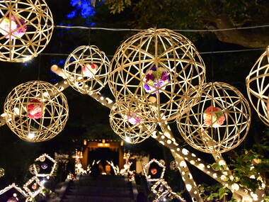 19 incredible winter illuminations and light-ups in Tokyo