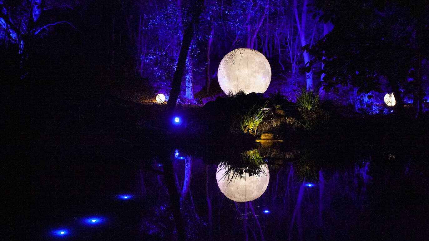 'Enchanted: Forest of Light' is bringing magic back to Descanso Gardens ...