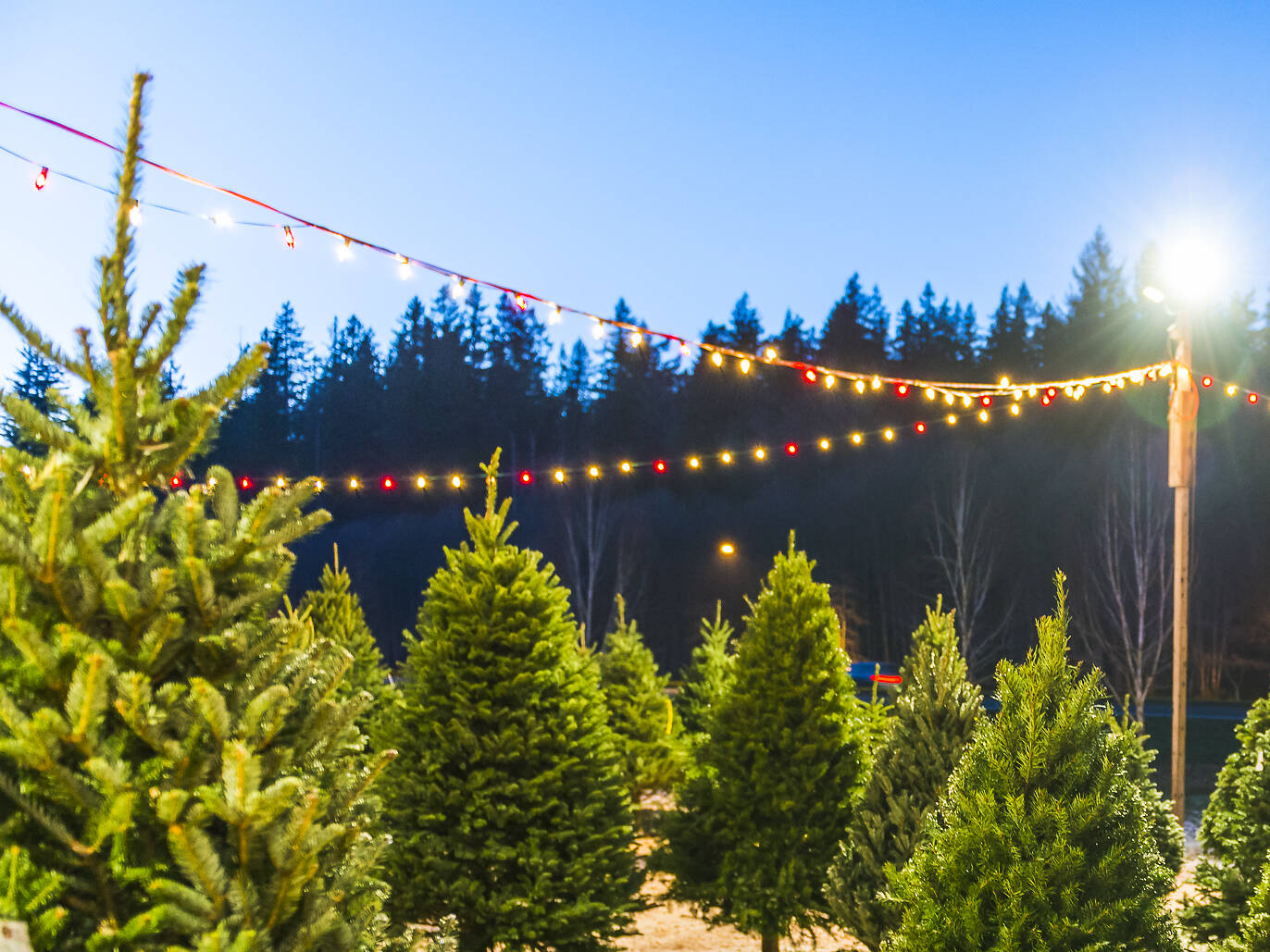 Time Out Chicago | Chicago Events, Activities & Things To Do