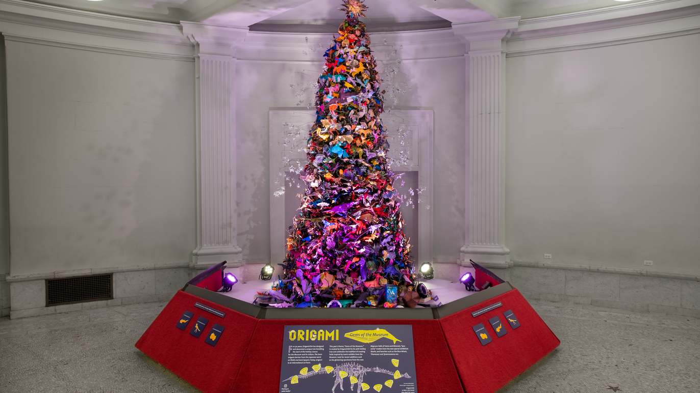 Visit this amazing origami Christmas tree is inside the American Museum ...