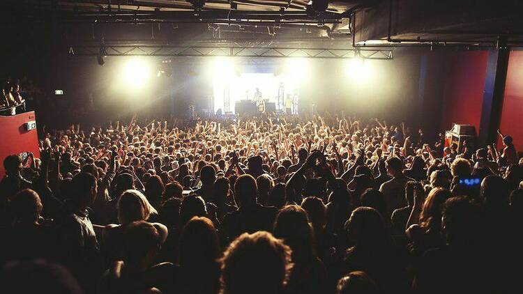 Enchanted Forest NYD party | Nightlife in Sydney