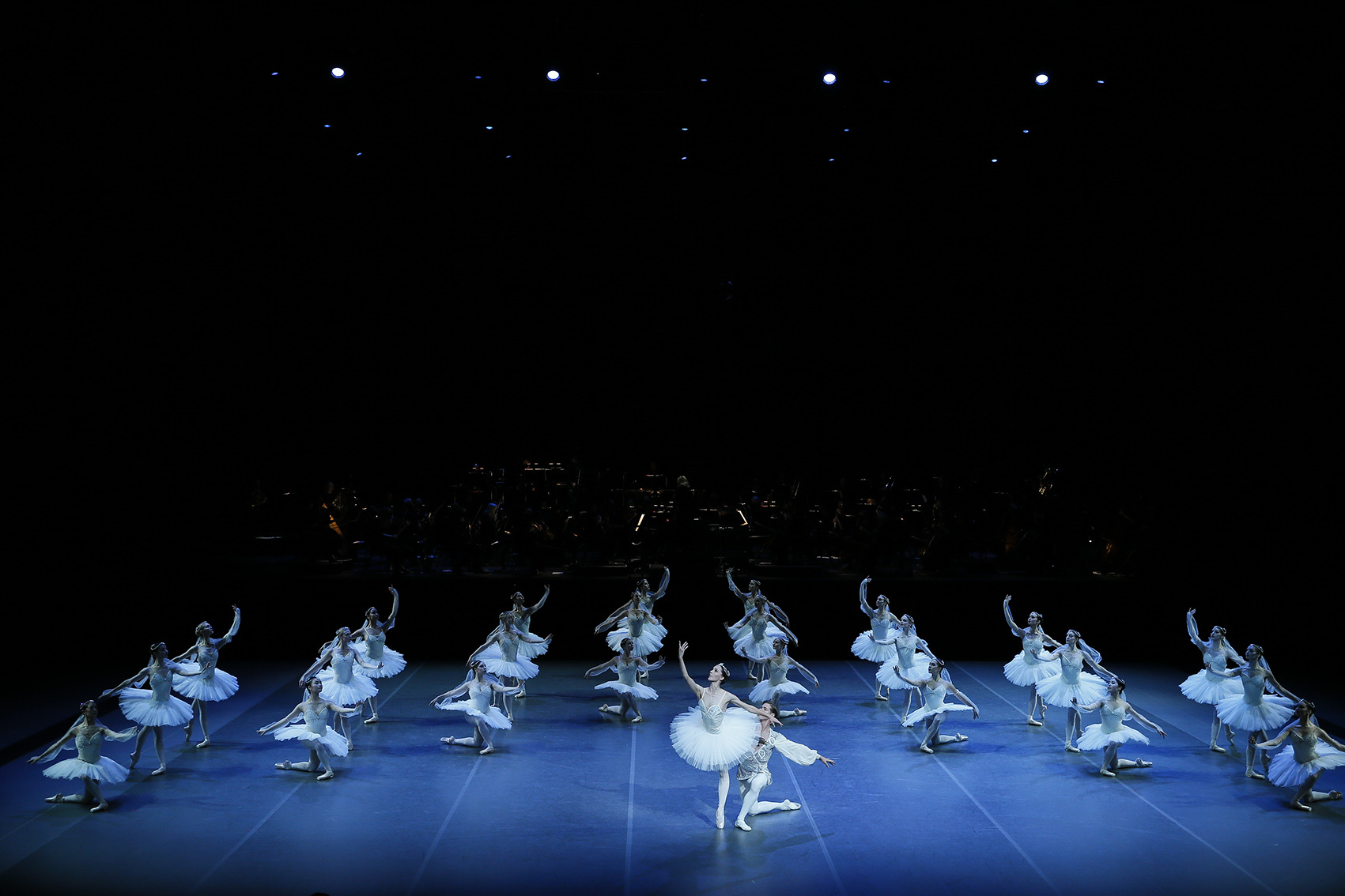 Summertime Ballet Gala | Dance in Melbourne