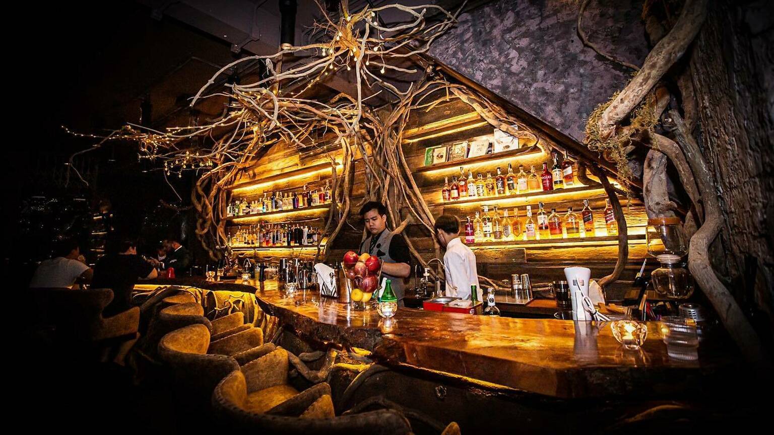 Root Bar Bars In Chatuchak Bangkok