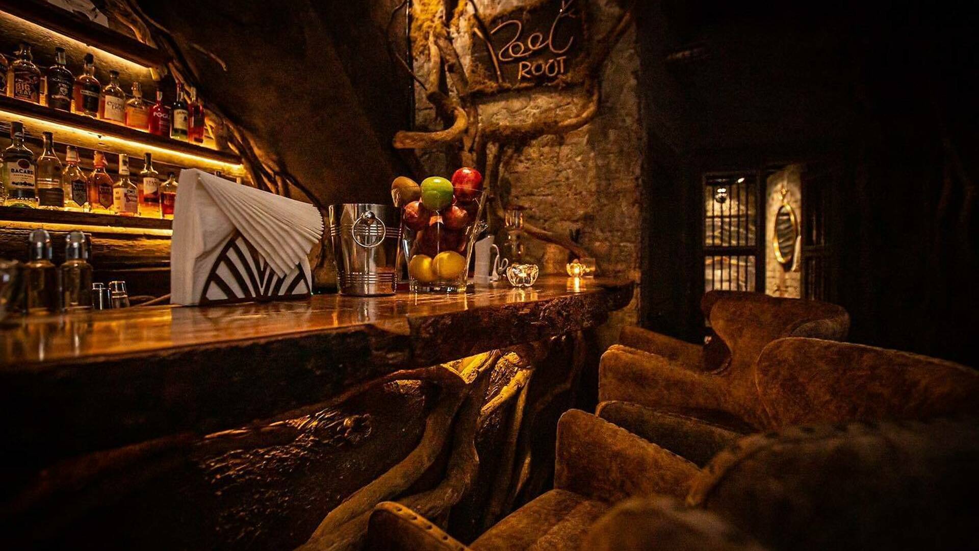 Root Bar | Bars in Chatuchak, Bangkok