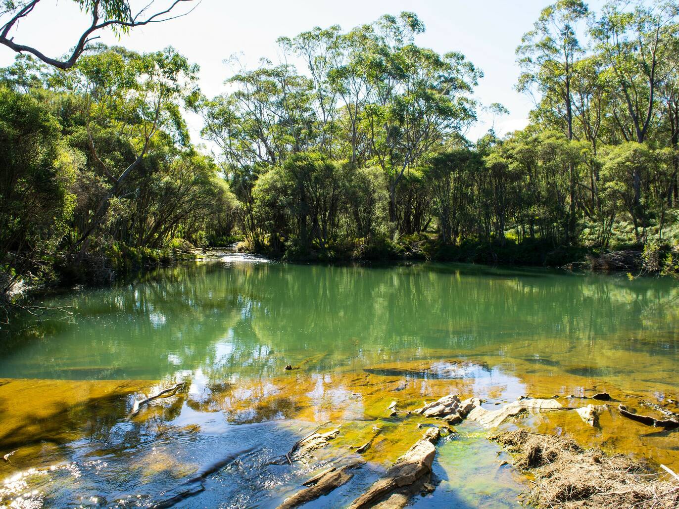 14 most beautiful natural wonders in NSW a day trip from Sydney