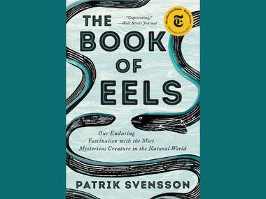 15 Really, Really Great Books that Got Us Through 2021