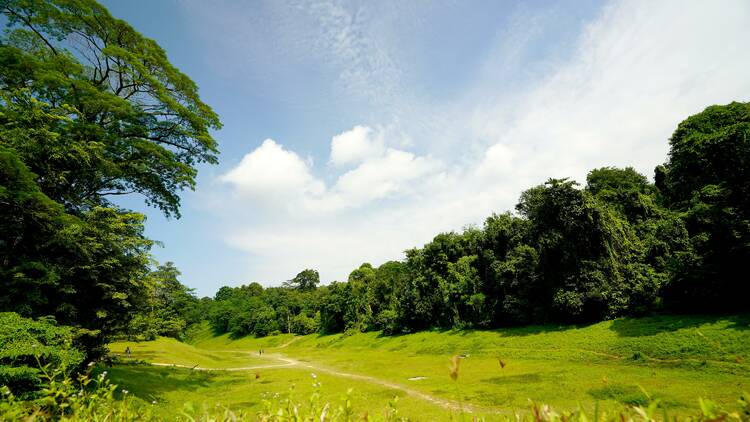 The Ultimate Guide To The Rail Corridor In Singapore