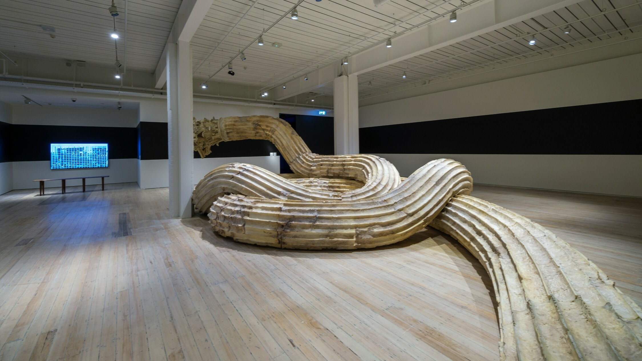 Big in China | Art in Sydney