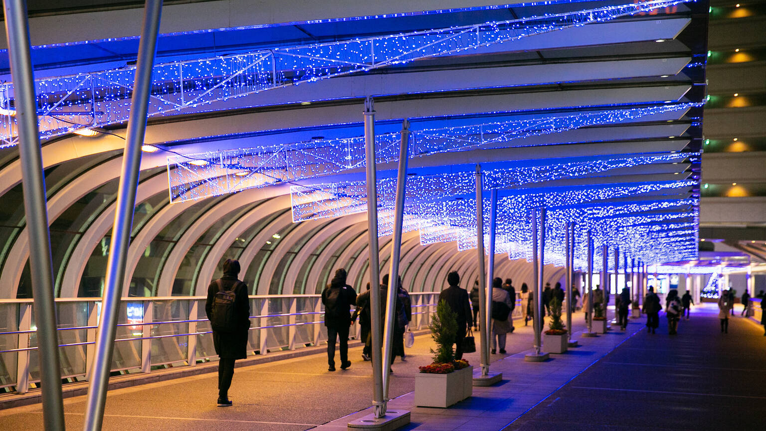 Things to do in Tokyo today | Time Out Tokyo