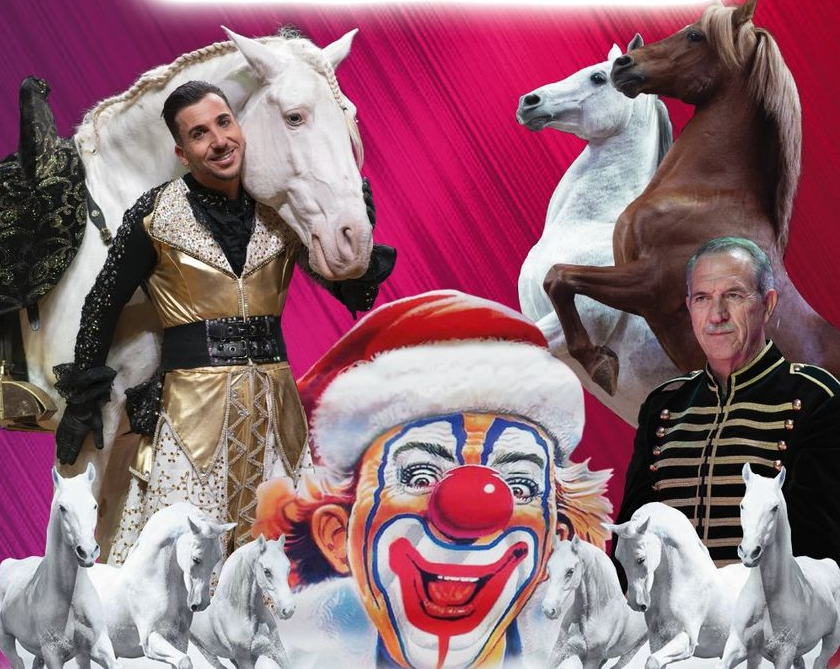 Circo Victor Hugo Cardinali | Coisas para fazer in Lisboa