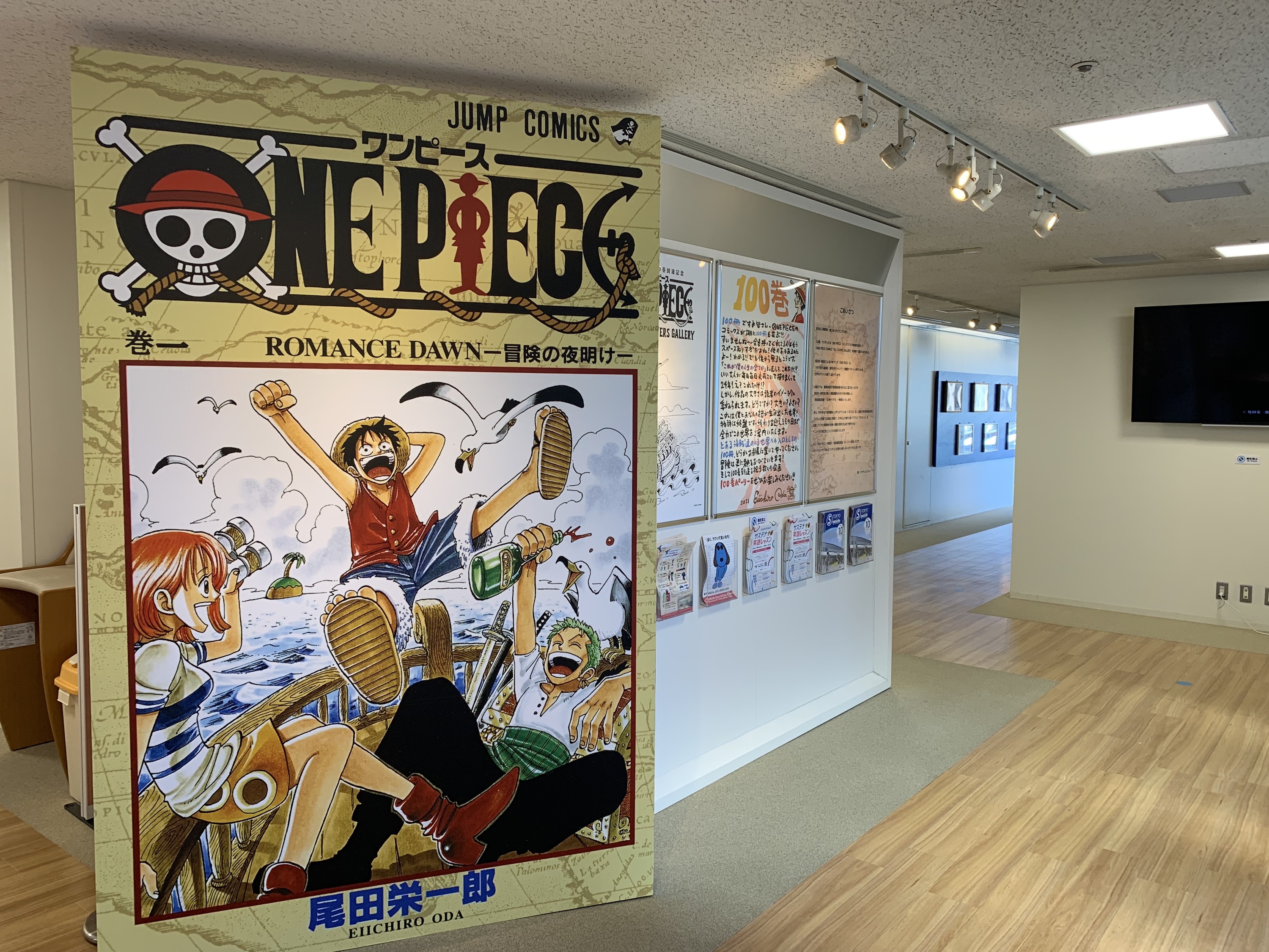 One Piece Visual Festival | Things to do in Tokyo