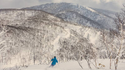 8 best snow and ski destinations in Japan