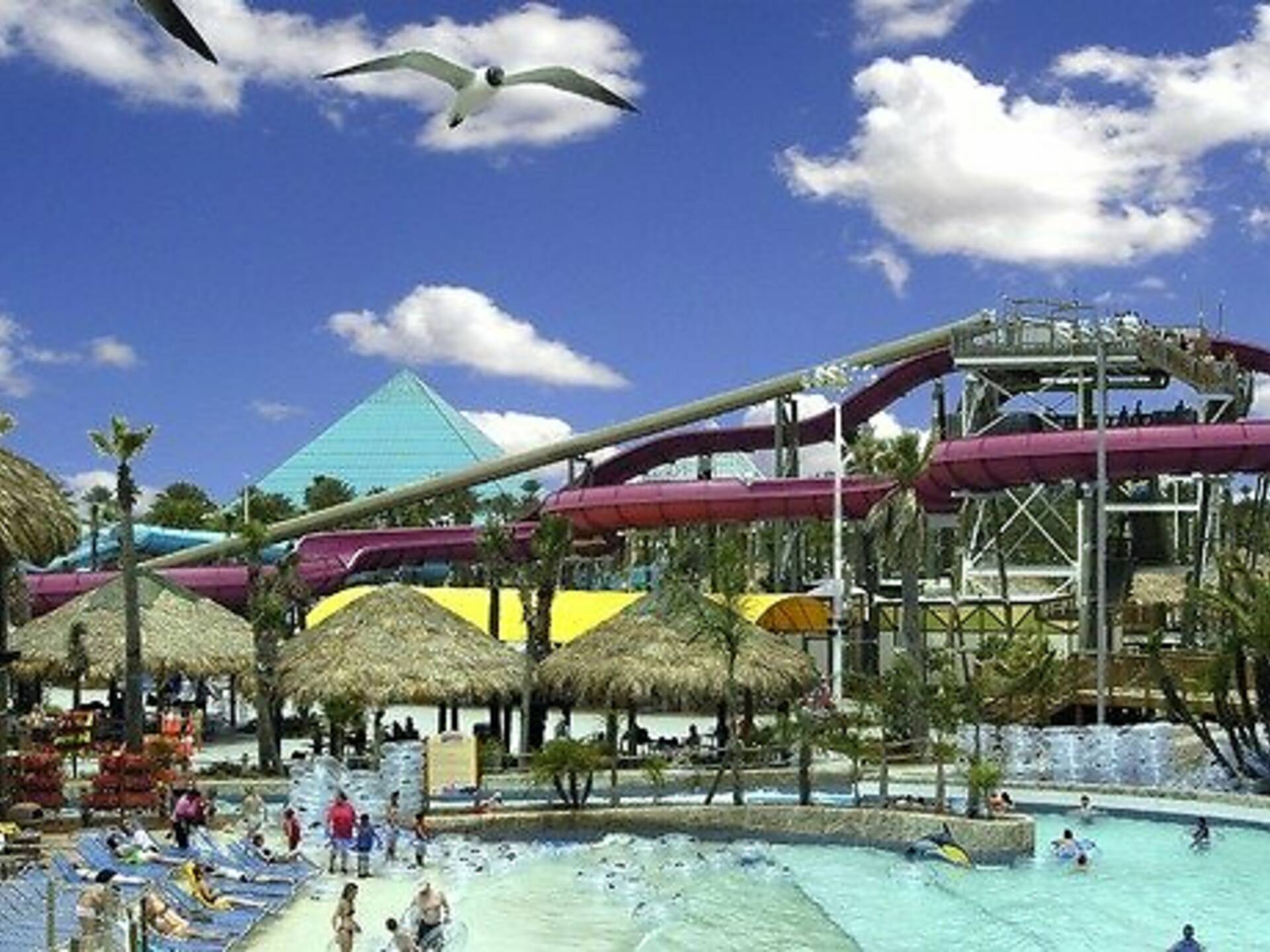 10 Best Things to Do in With Kids in Houston