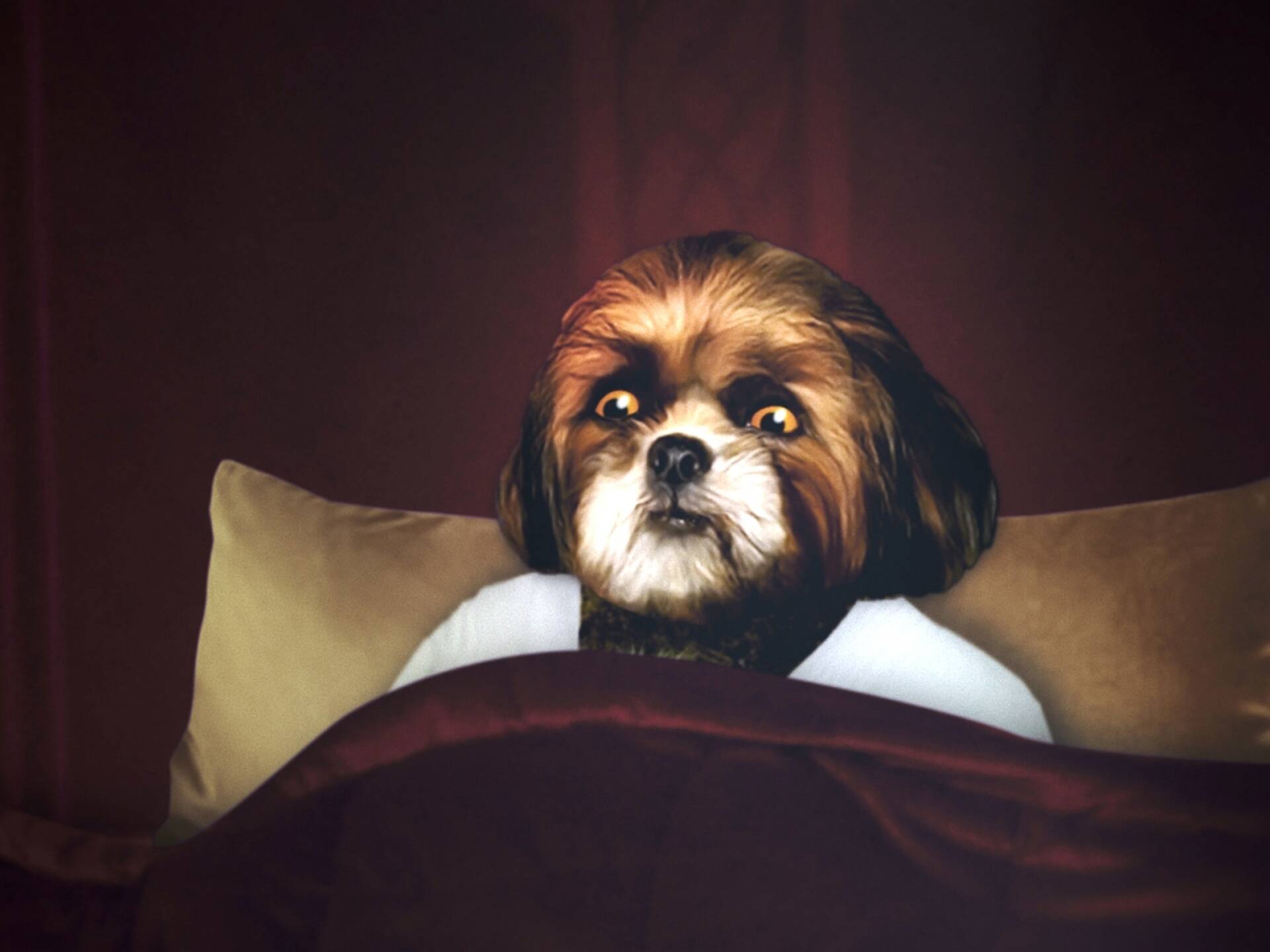 Vinte sites para quem está aborrecido e quer passar o tempo