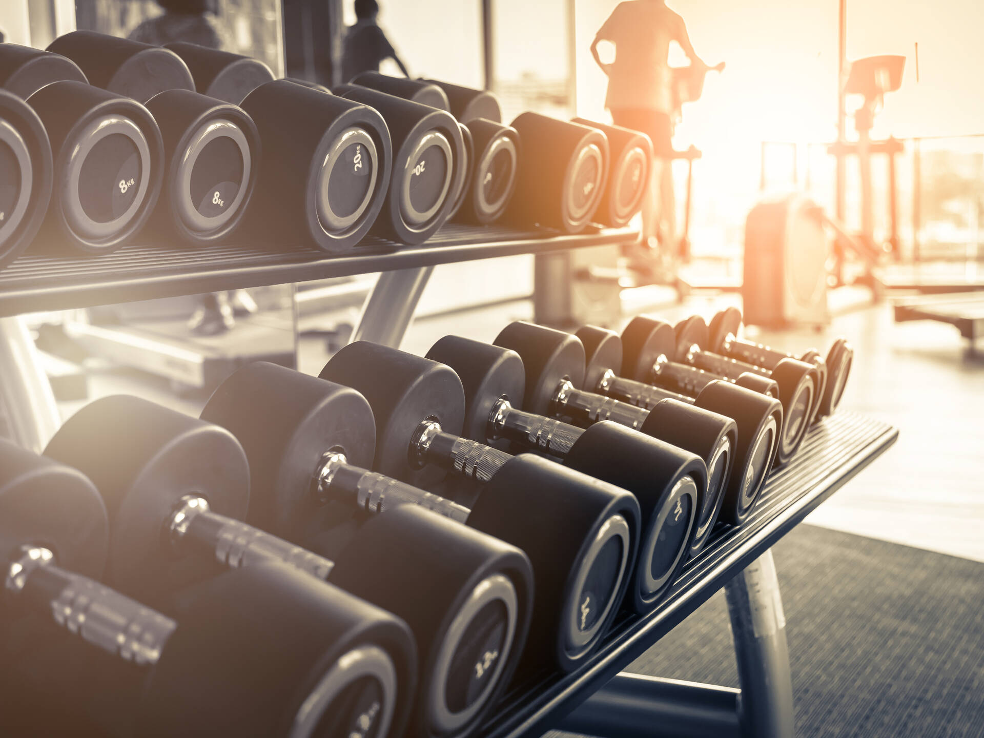 20 Best Gyms in Chicago For Getting in Shape